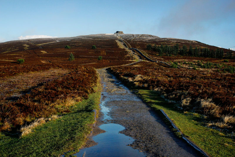 Moel Famau Trail Run from Loggerheads Country Park - Wild Blighty