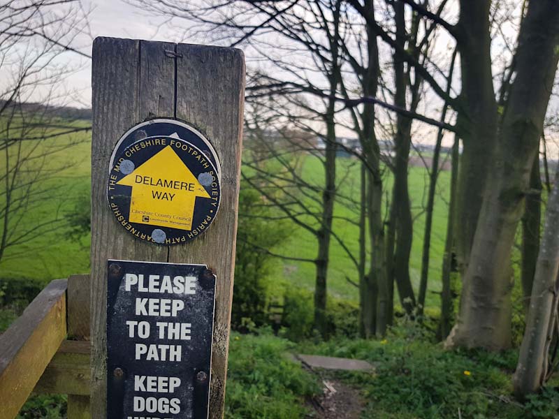Discovering The Delamere Way Walking Path - Wild Blighty